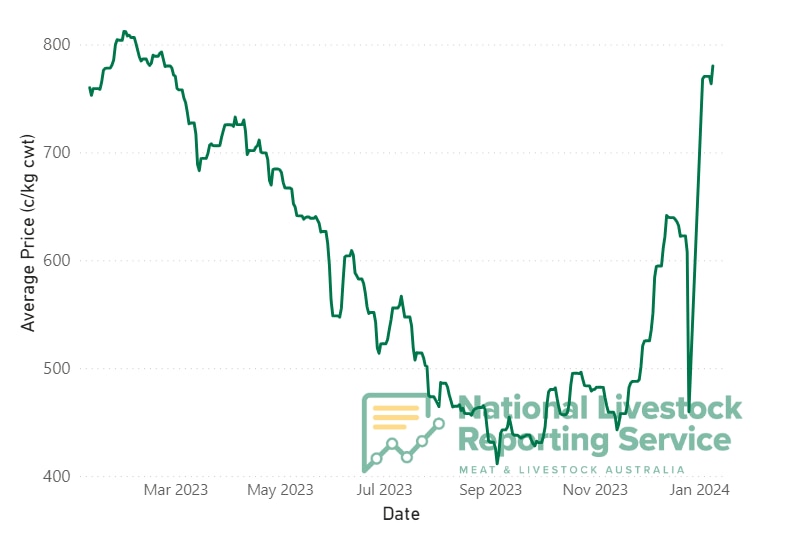 Lamb prices expected to rise after strong start to 2024 season in sheep ...