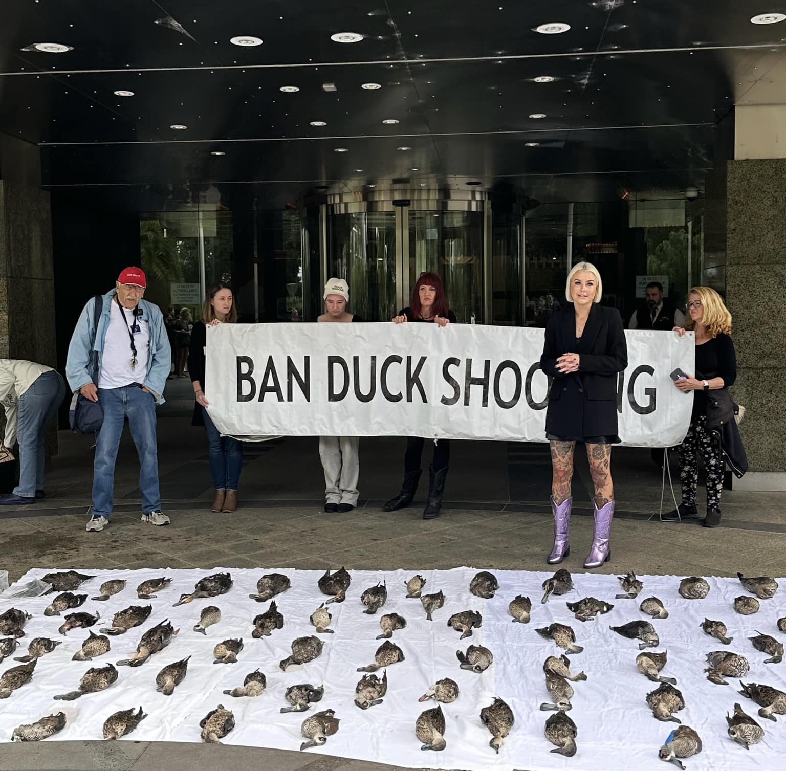 Victorian Government loses crossbench support over duck hunting ...