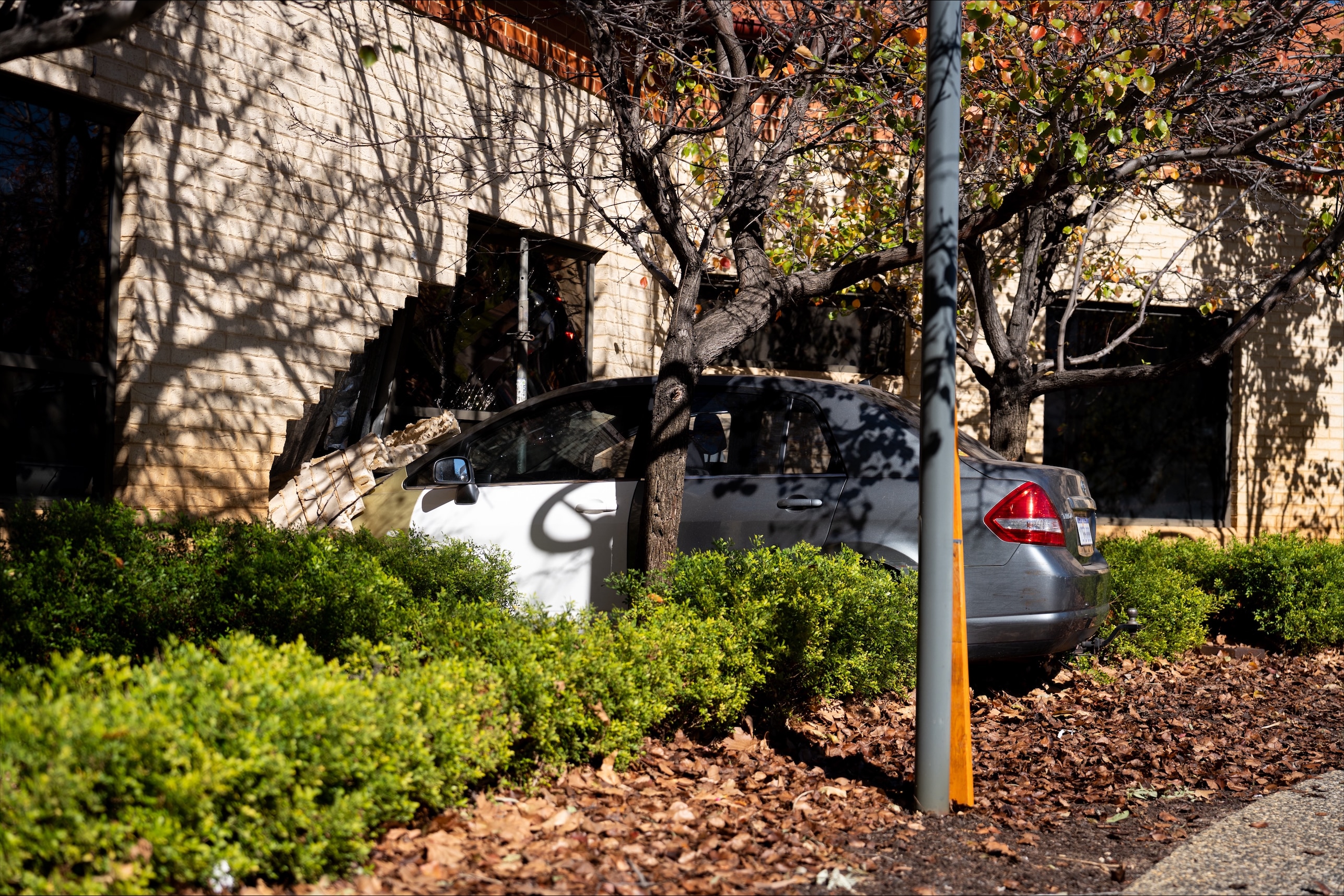 Transperth bus crashes into tree in Wanneroo in Perth's north, multiple ...