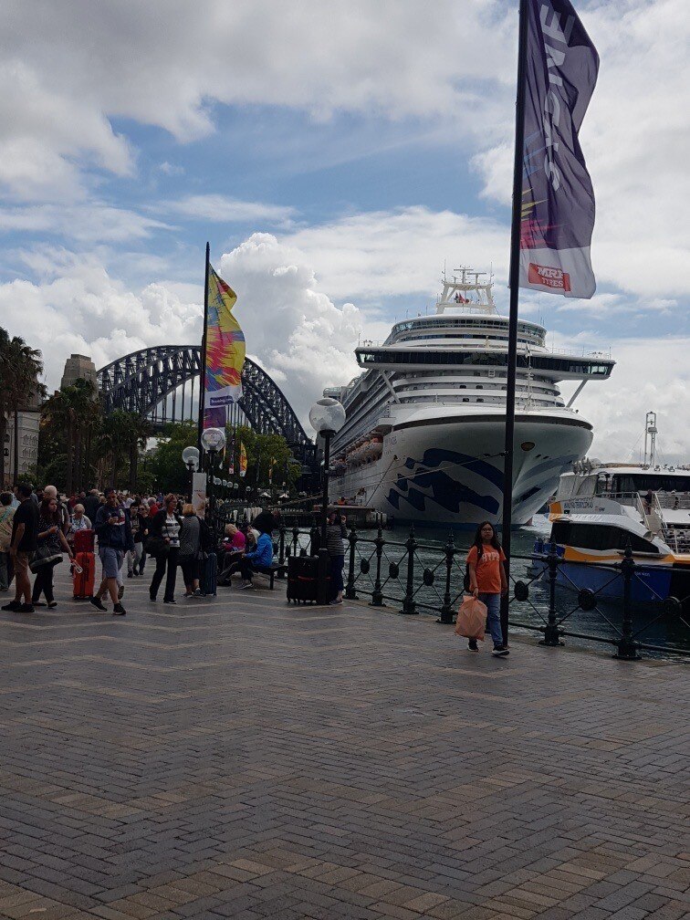 Nightmare continues at home for passenger on the infamous Ruby Princess ...