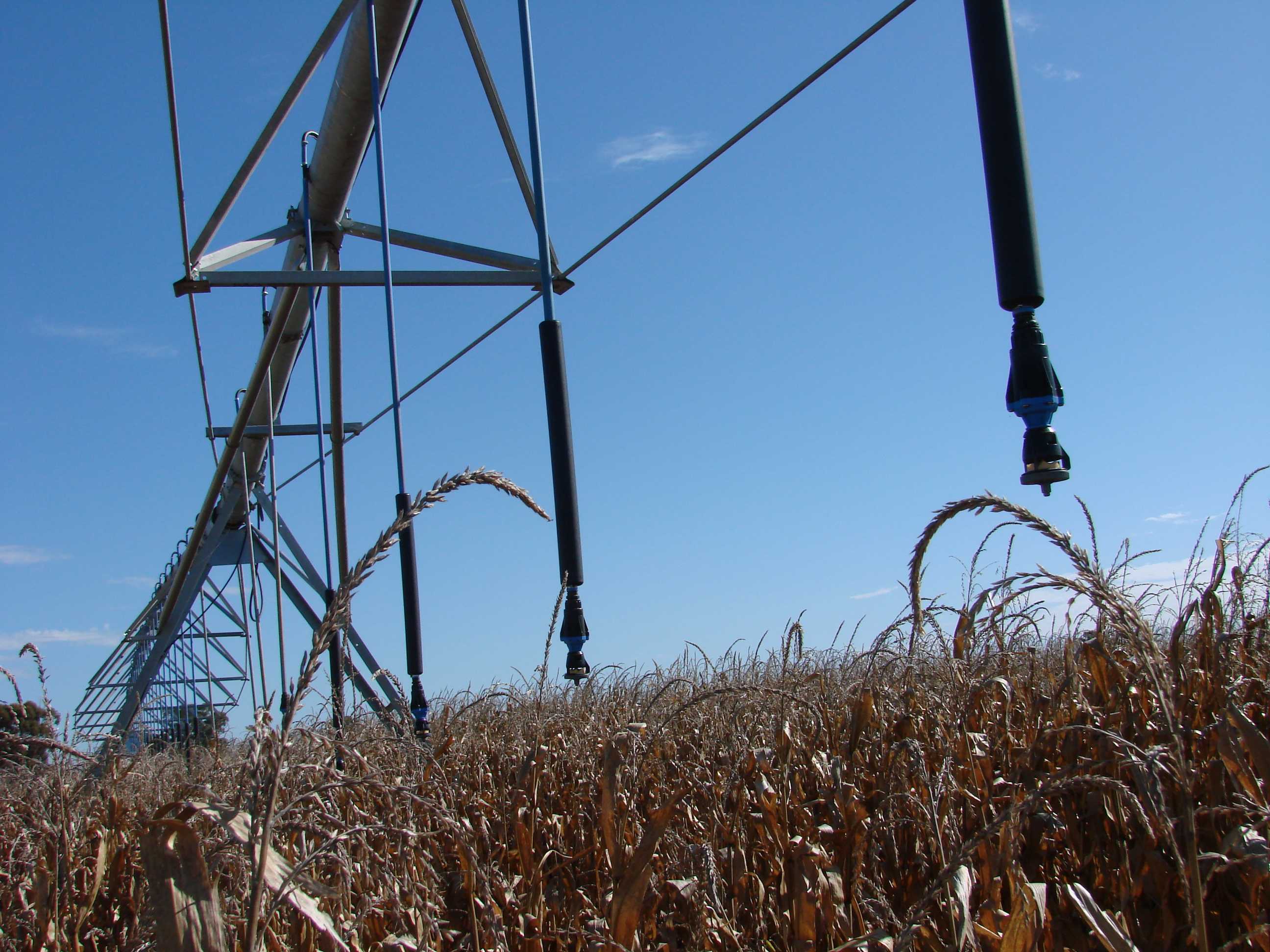 MDBA keeping tabs on Basin Plan impacts - ABC News