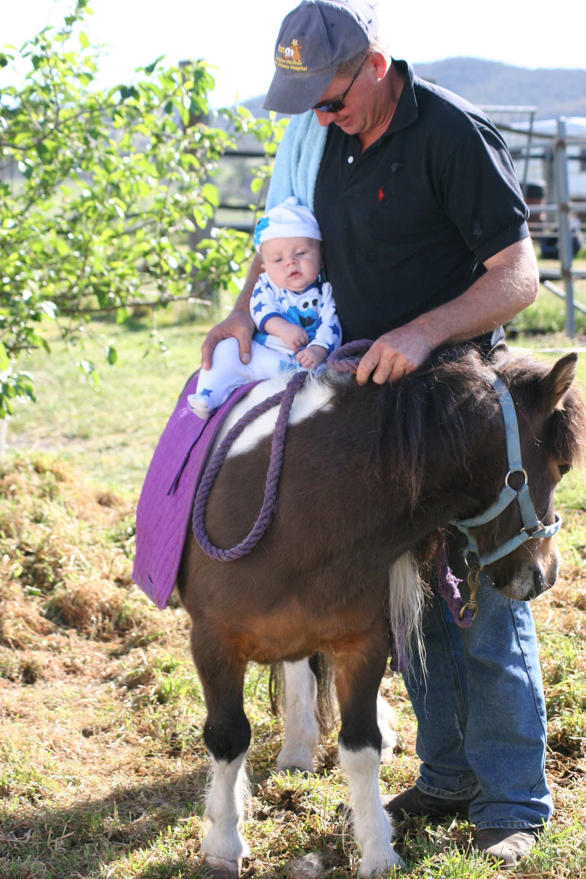 Who are they? ACT Senate candidates - ABC News