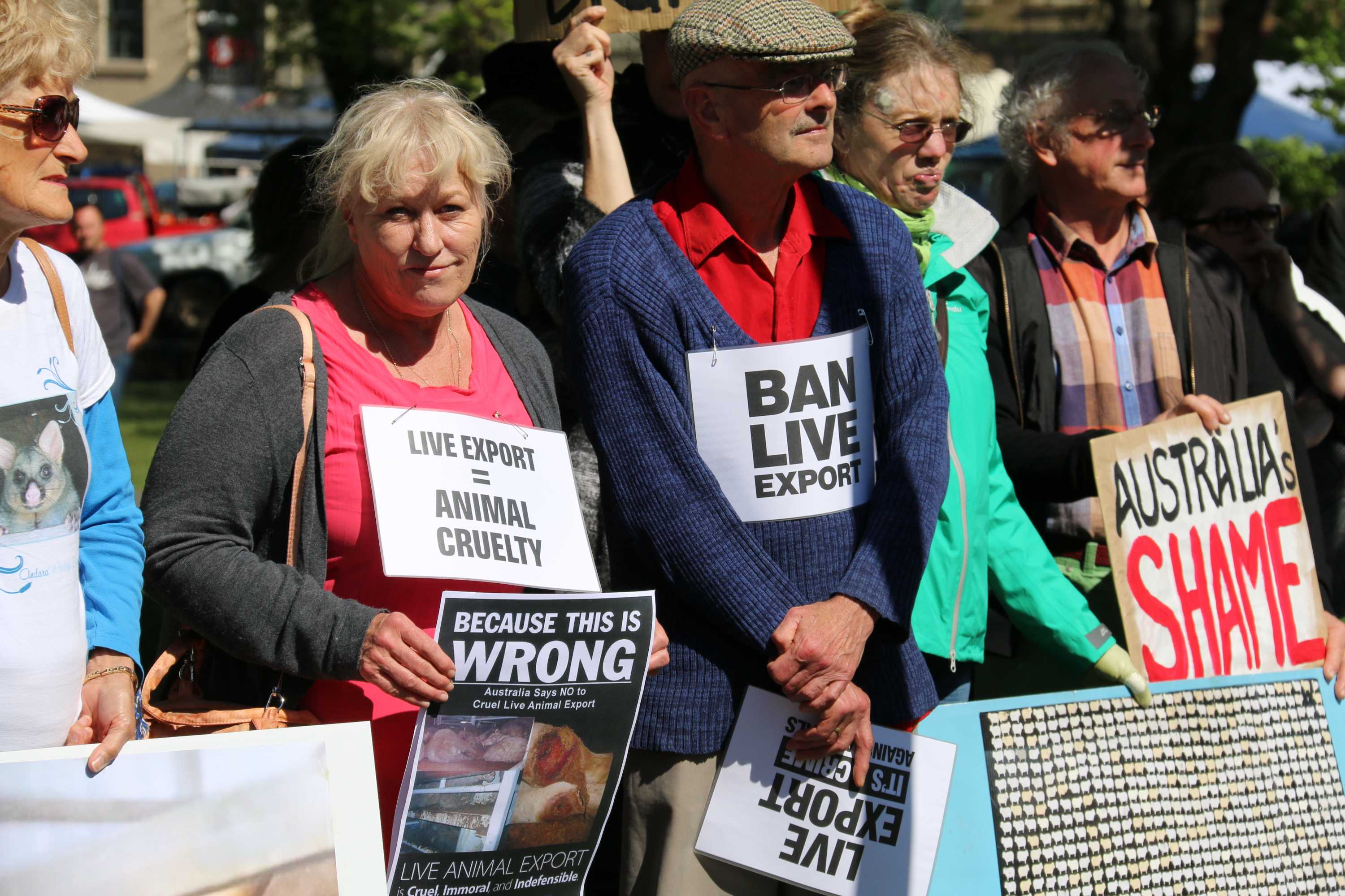 Protesters in Hobart call for end to export of live animals - ABC News