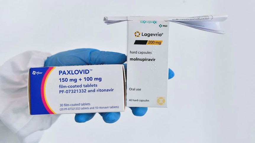 Paxlovid Has Been Free So Next Year, Sticker Shock KFF , 54% OFF Paxlovid Has Been Free So Next Year, Sticker Shock KFF , 54% OFF