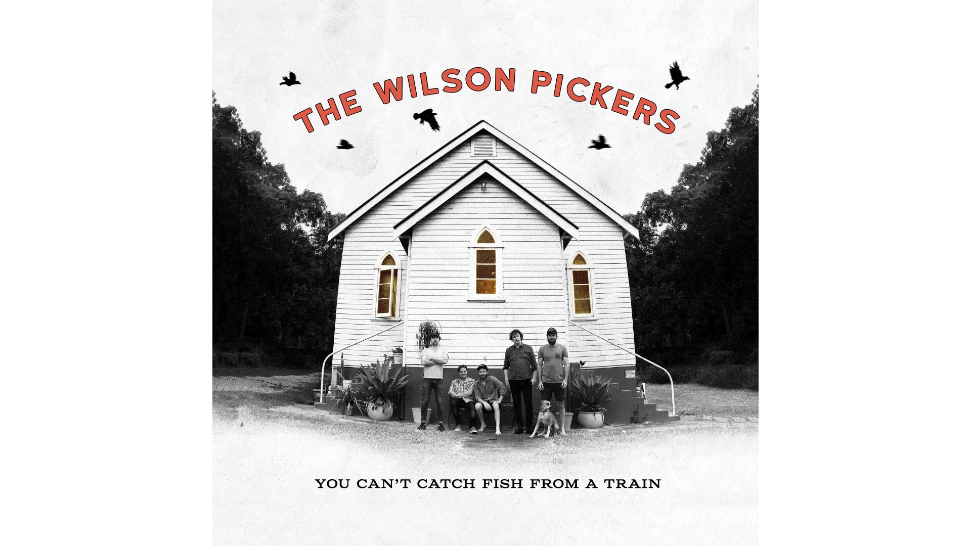 The Wilson Pickers - You Can't Catch A Fish From A Train - ABC Music