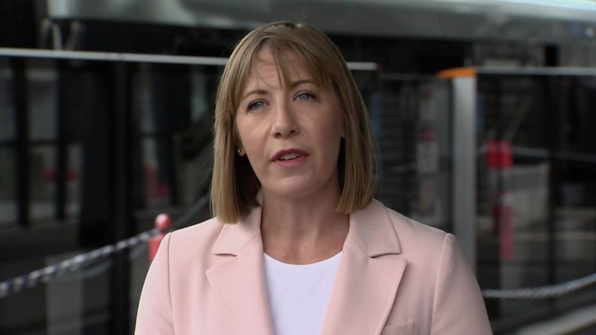 NSW Transport Minister Jo Haylen addresses staffing scandal - ABC News NSW Transport Minister Jo Haylen addresses staffing scandal - ABC News