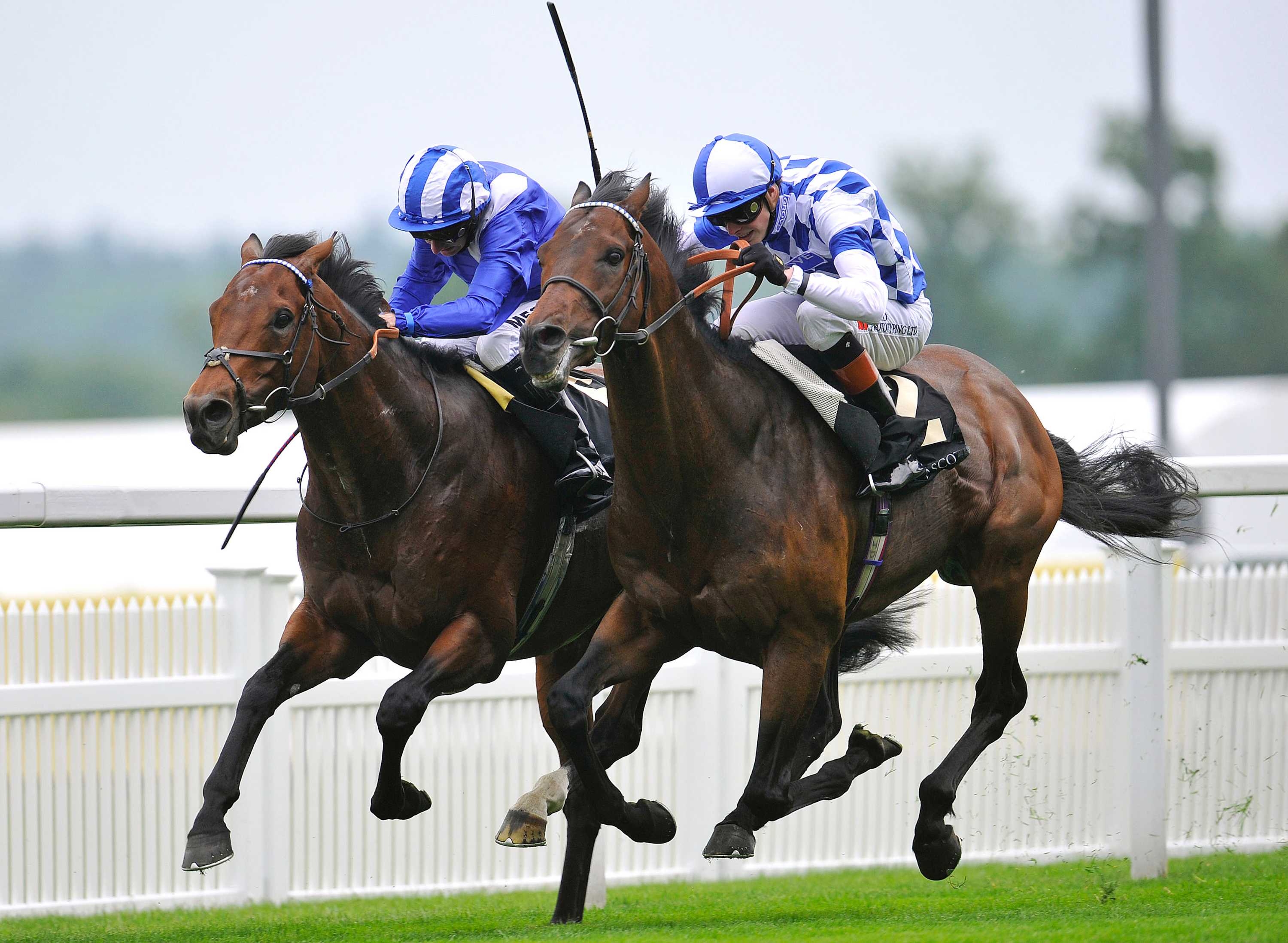 Young gun Doyle produces royal display at Ascot - ABC News