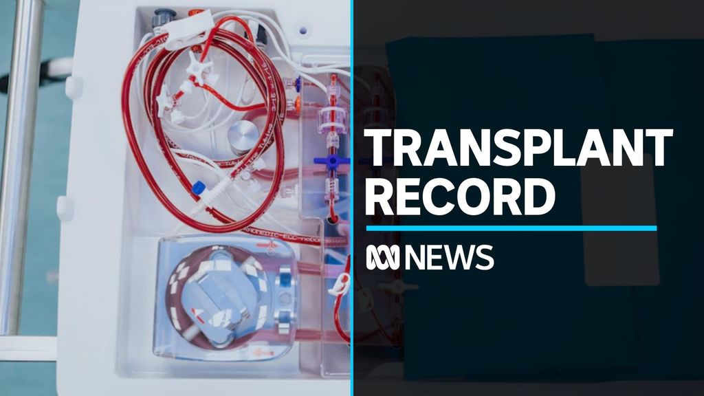 Heart kept alive for a record seven hours for transplant - ABC News