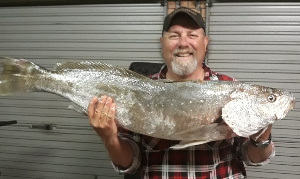 The Big Fish - ABC listen