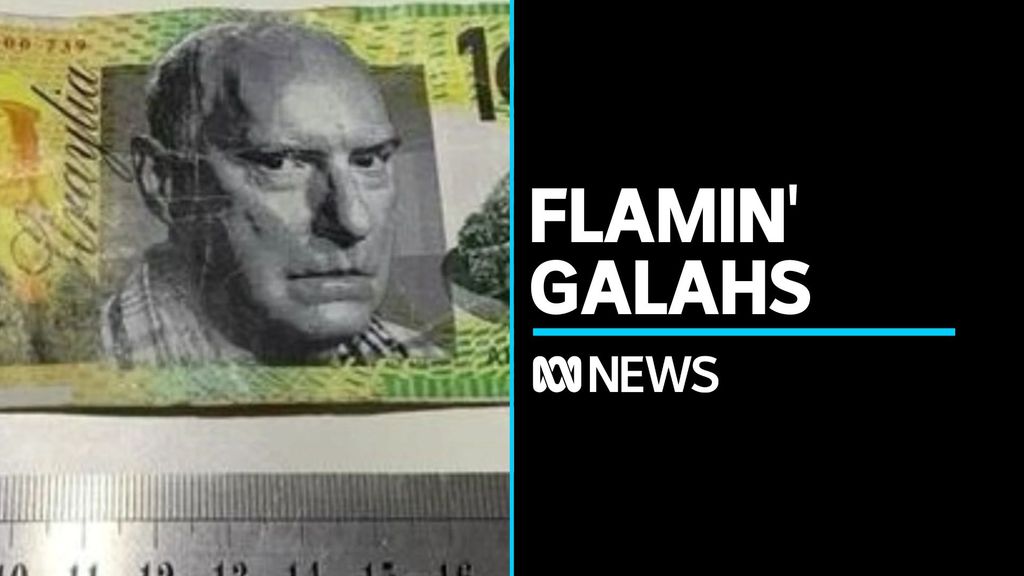 NT robbery triggers fake bill warning for businesses - ABC News