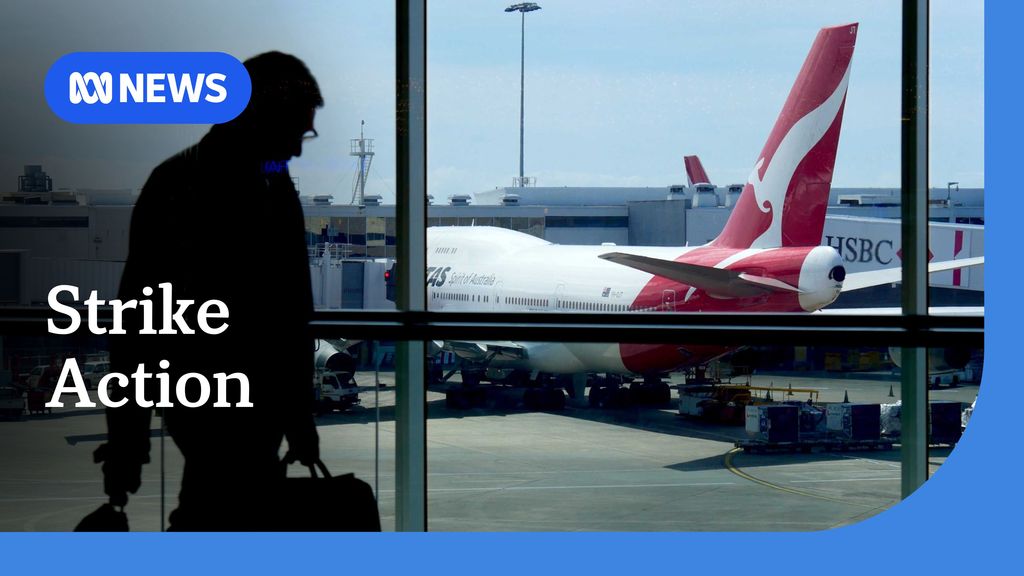 Why are capybaras so popular in Asia? - ABC News