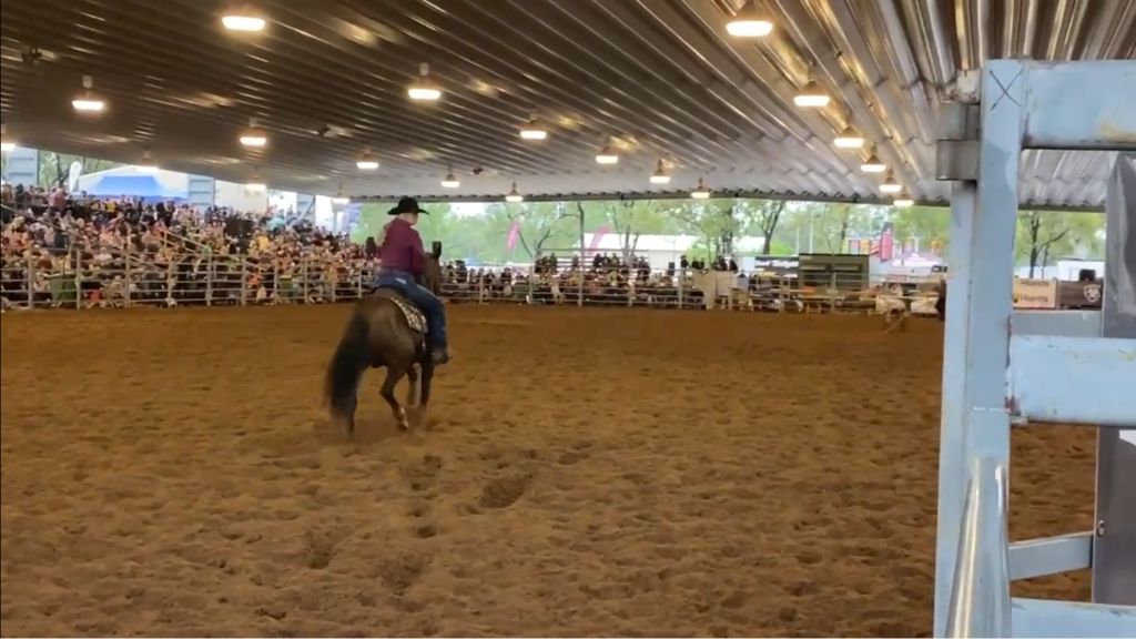 Ariana Varischetti competing at the 2022 Nebo rodeo - ABC News