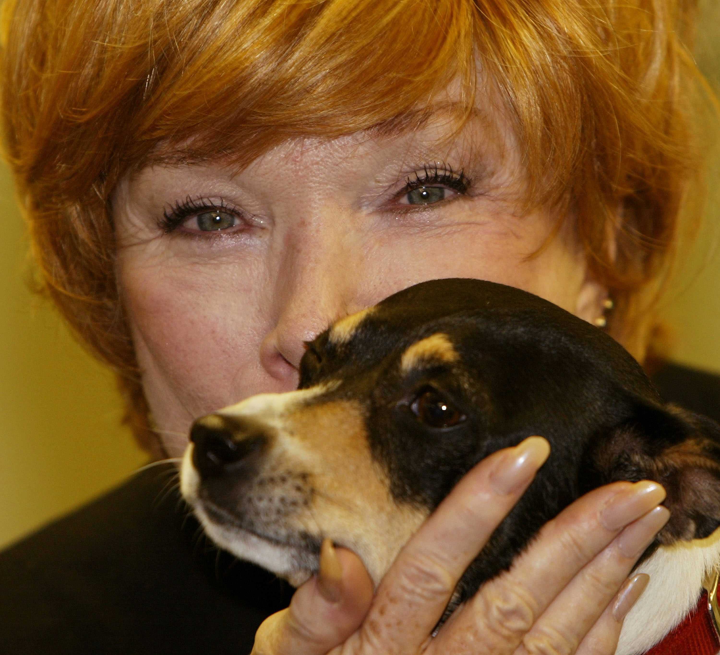 Life Matters turns 30: Shirley MacLaine and her beloved dog Terry - ABC ...
