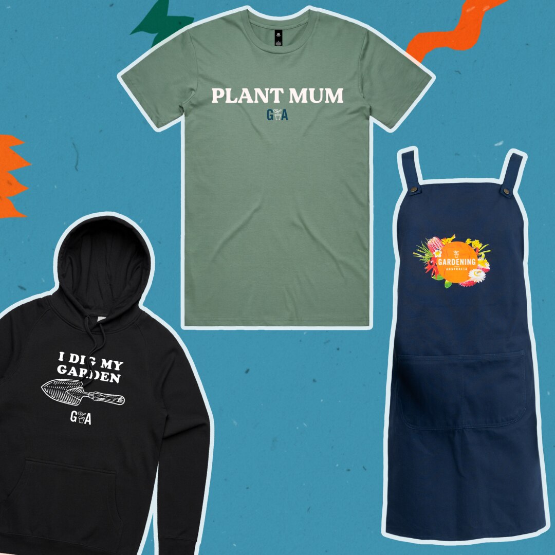 ABC Shop - ABC Commercial - ABC Shop