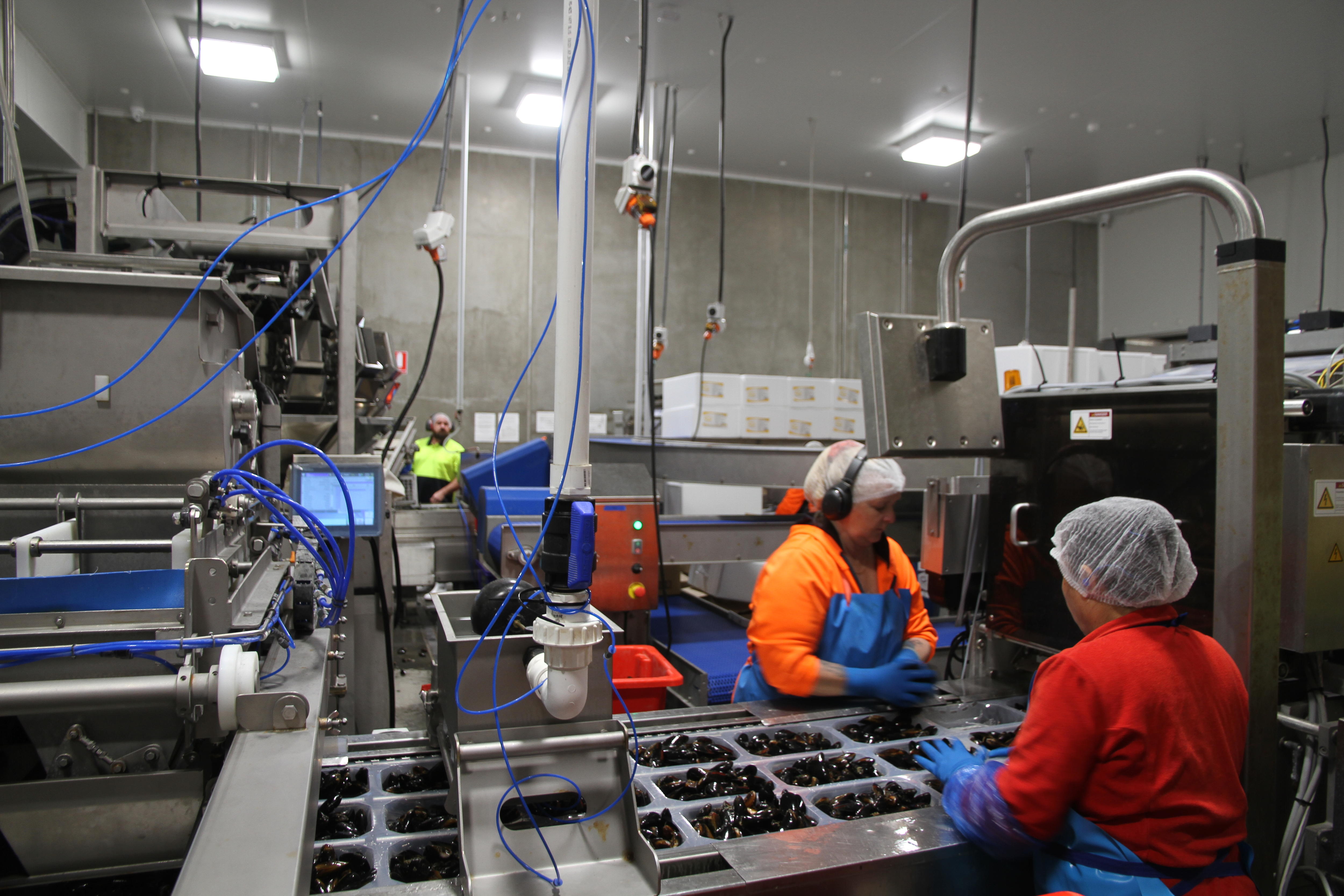 Port Lincoln desalination plant research causes clash between ...