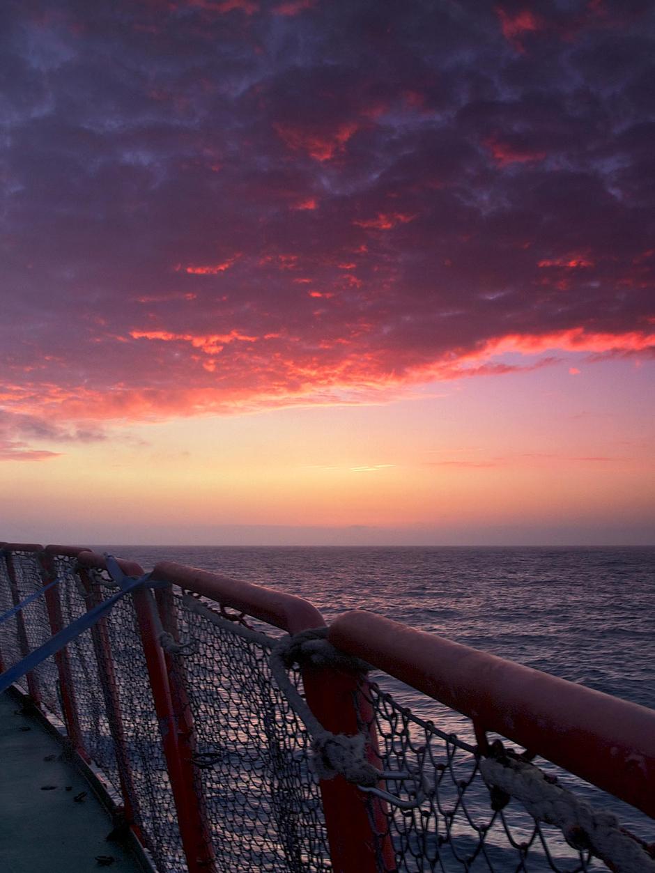 Scientists sound alarm over Southern Ocean warming - ABC News