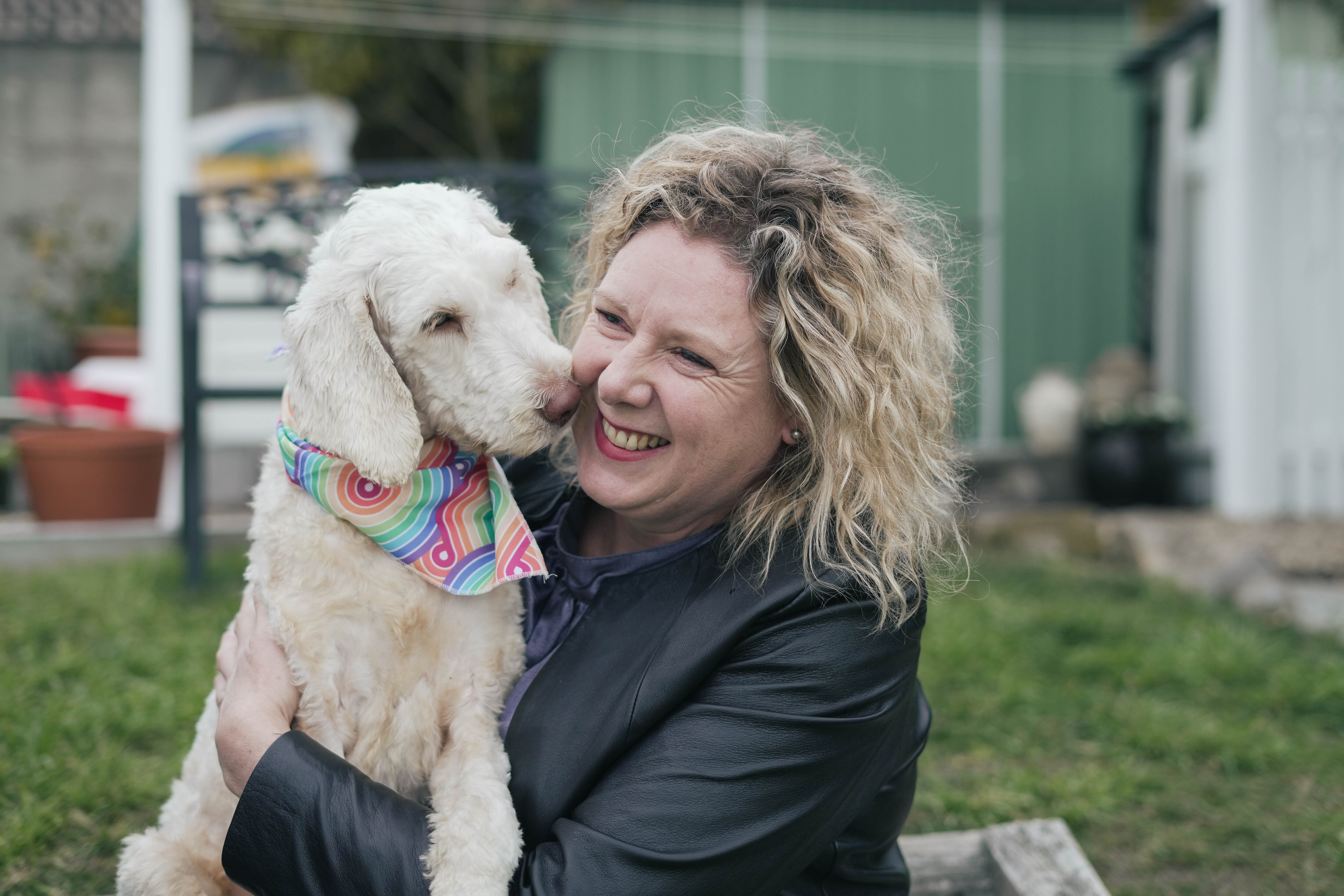 Adopted labradoodles 'delirious with happiness' as owners meet months ...