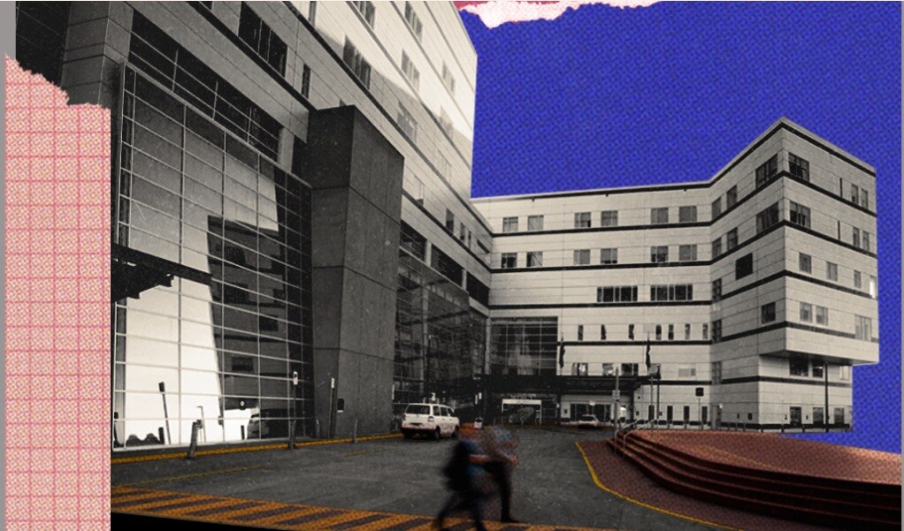 Background Briefing - ABC Radio National