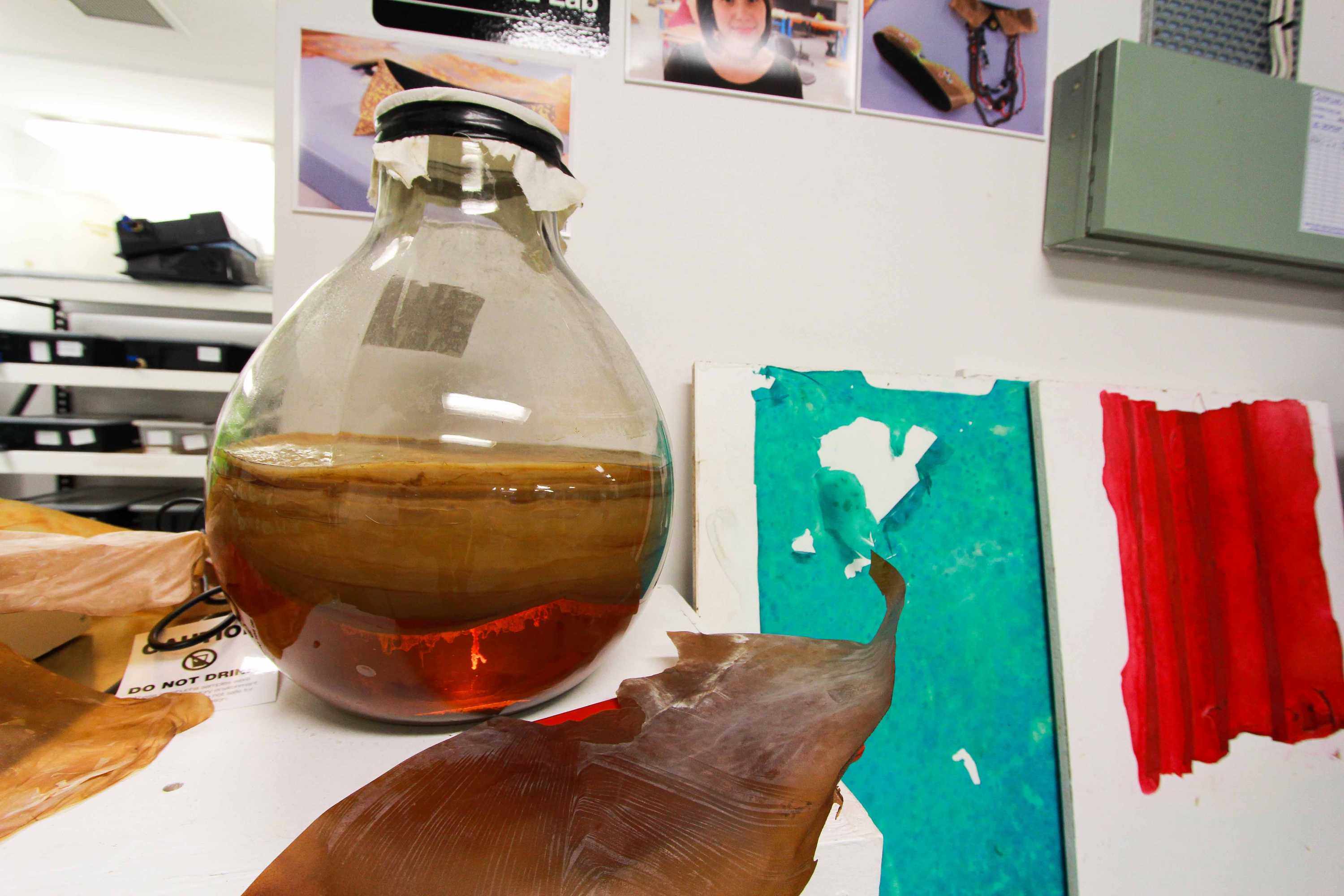 'Scary and gross': Queensland fashion students grow garments in jars ...