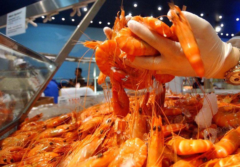 Northern prawn season underway and looking good despite poor wet season ...