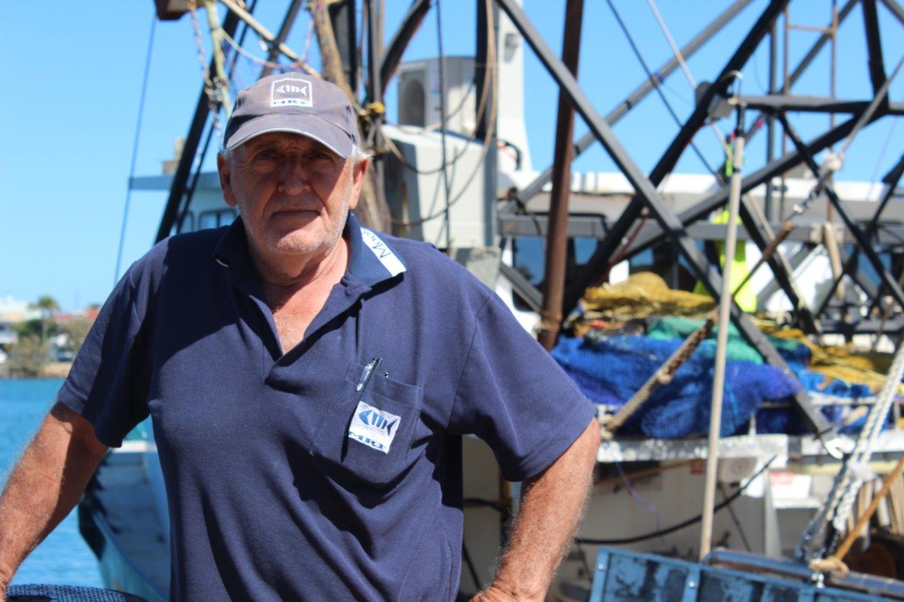 Christmas prawn price hike expected as stockpiles fall short - ABC News