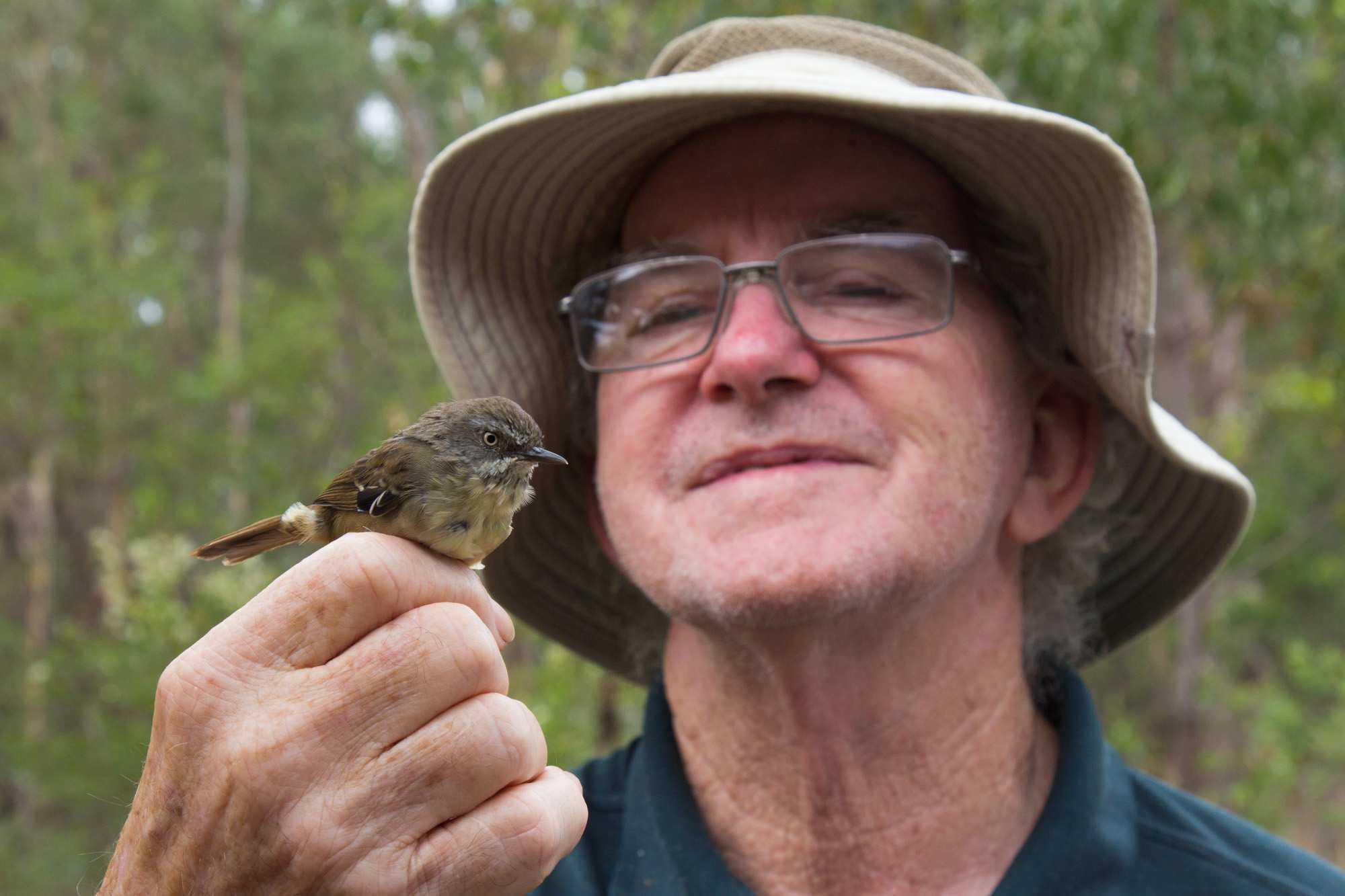 Bird banding in the Australian Botanic Garden - ABC News