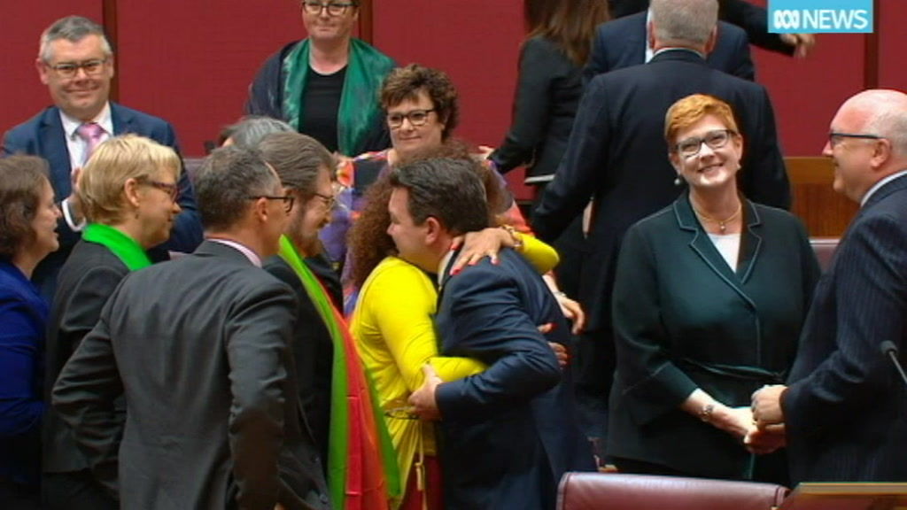 Same Sex Marriage Bill Passes Senate With No Amendments Abc News 2485