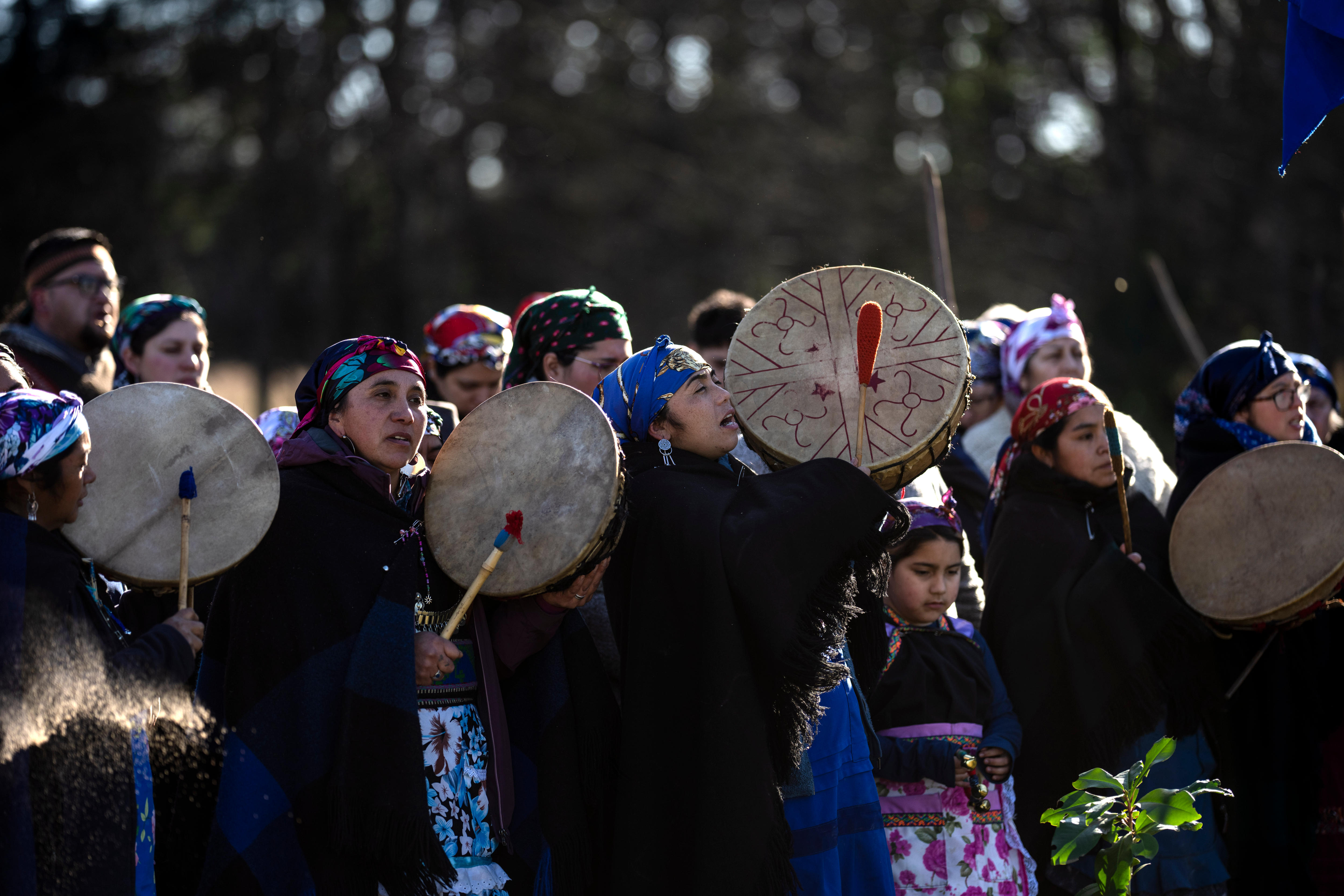 Chile's Mapuche Indigenous community's ongoing fight against hydro ...