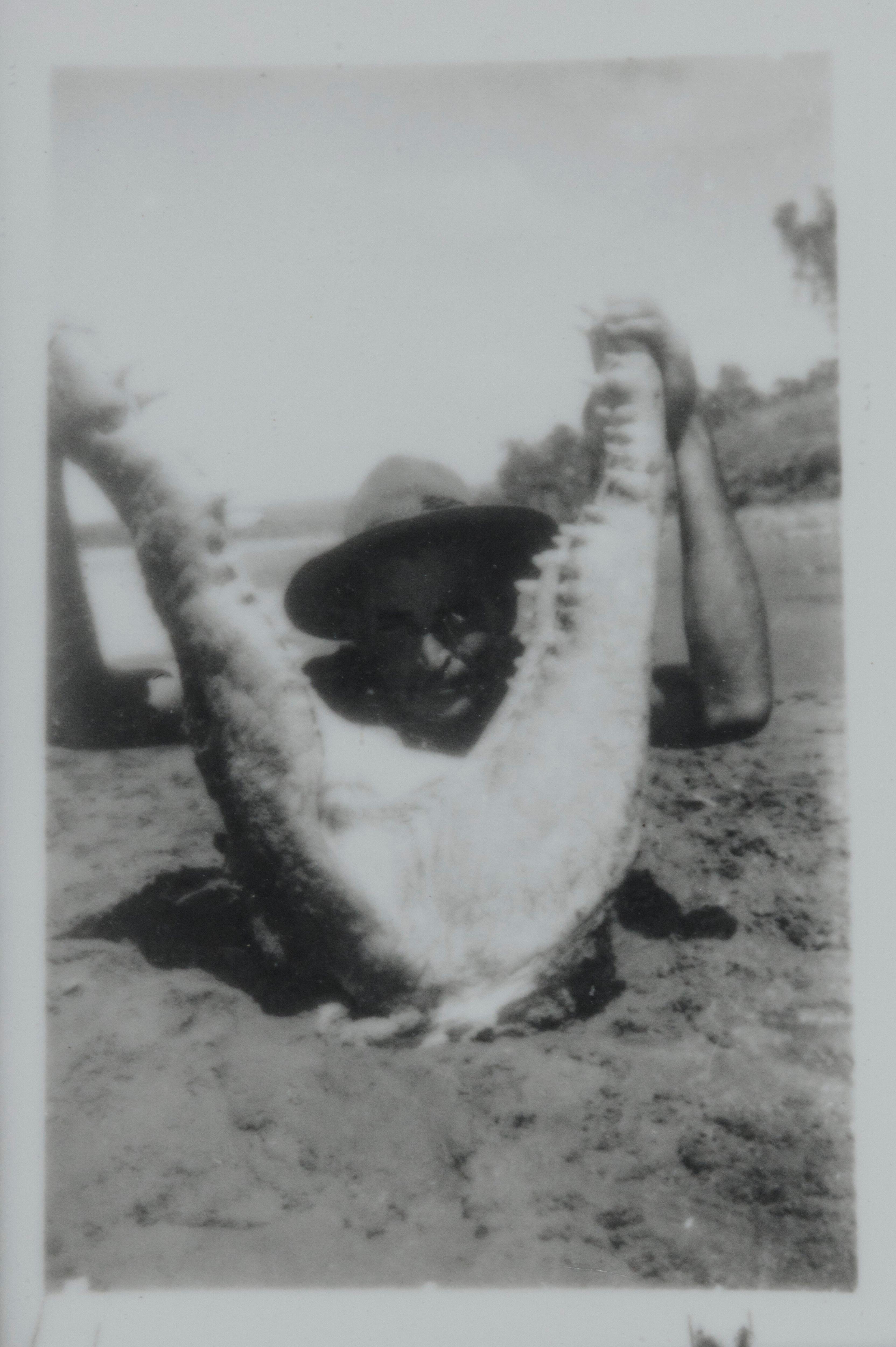 Northern Territory crocodile culling was banned in 1971. Should it be ...