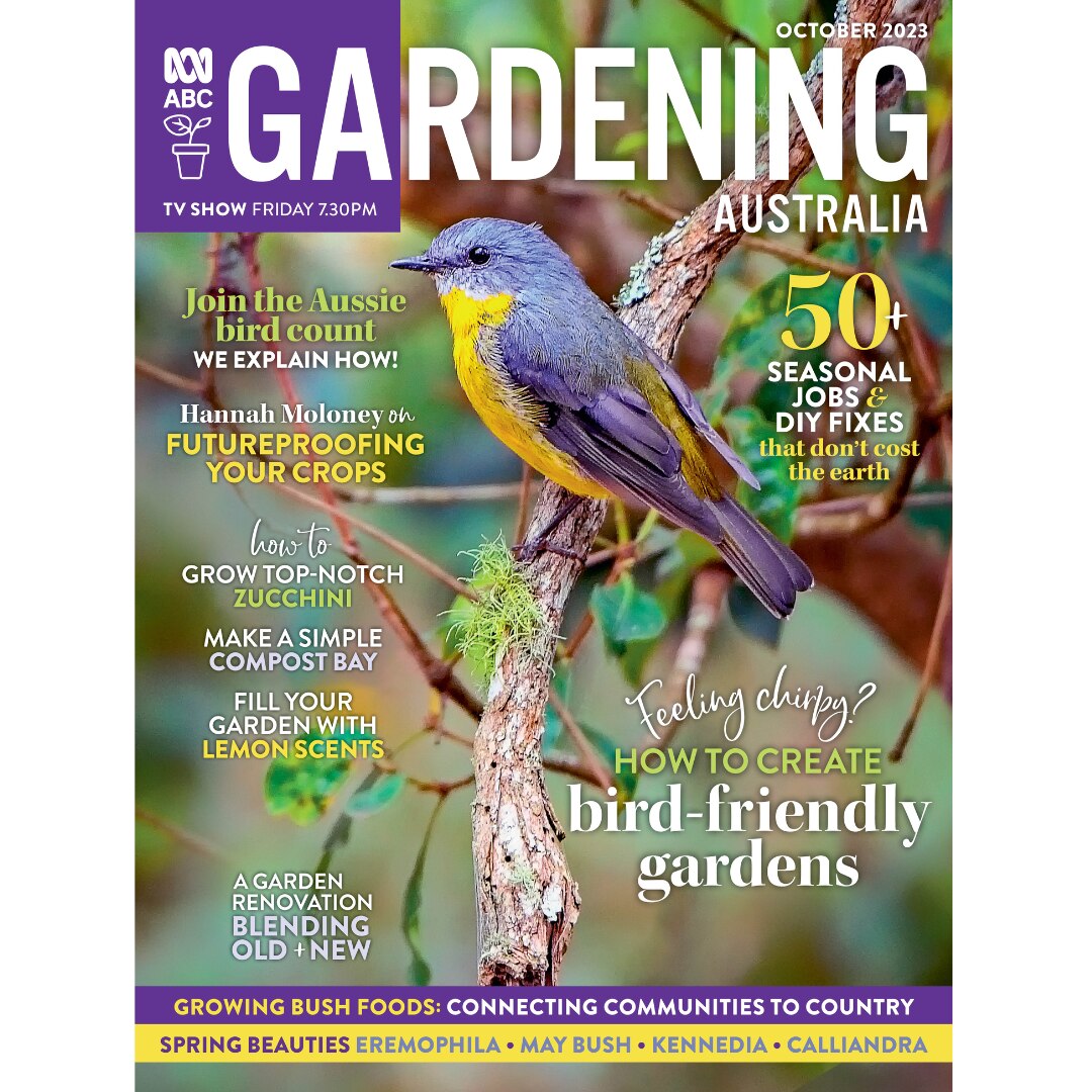 Magazines - ABC Shop