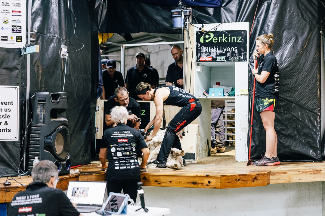 Shearer Nikki Lyons sets women's world record by shearing 395 merino ...
