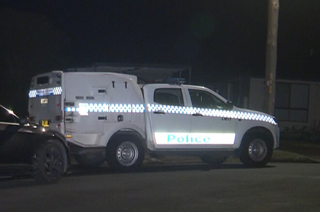 World's only known eyeless wasp discovered mummified in Nullarbor cave ...