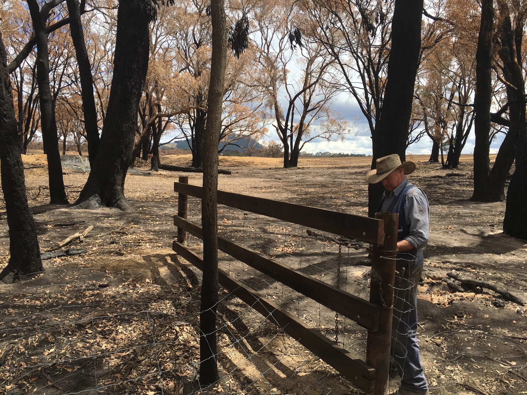 Scotsburn fire: The aftermath of the 'other' Victorian bushfire - ABC News