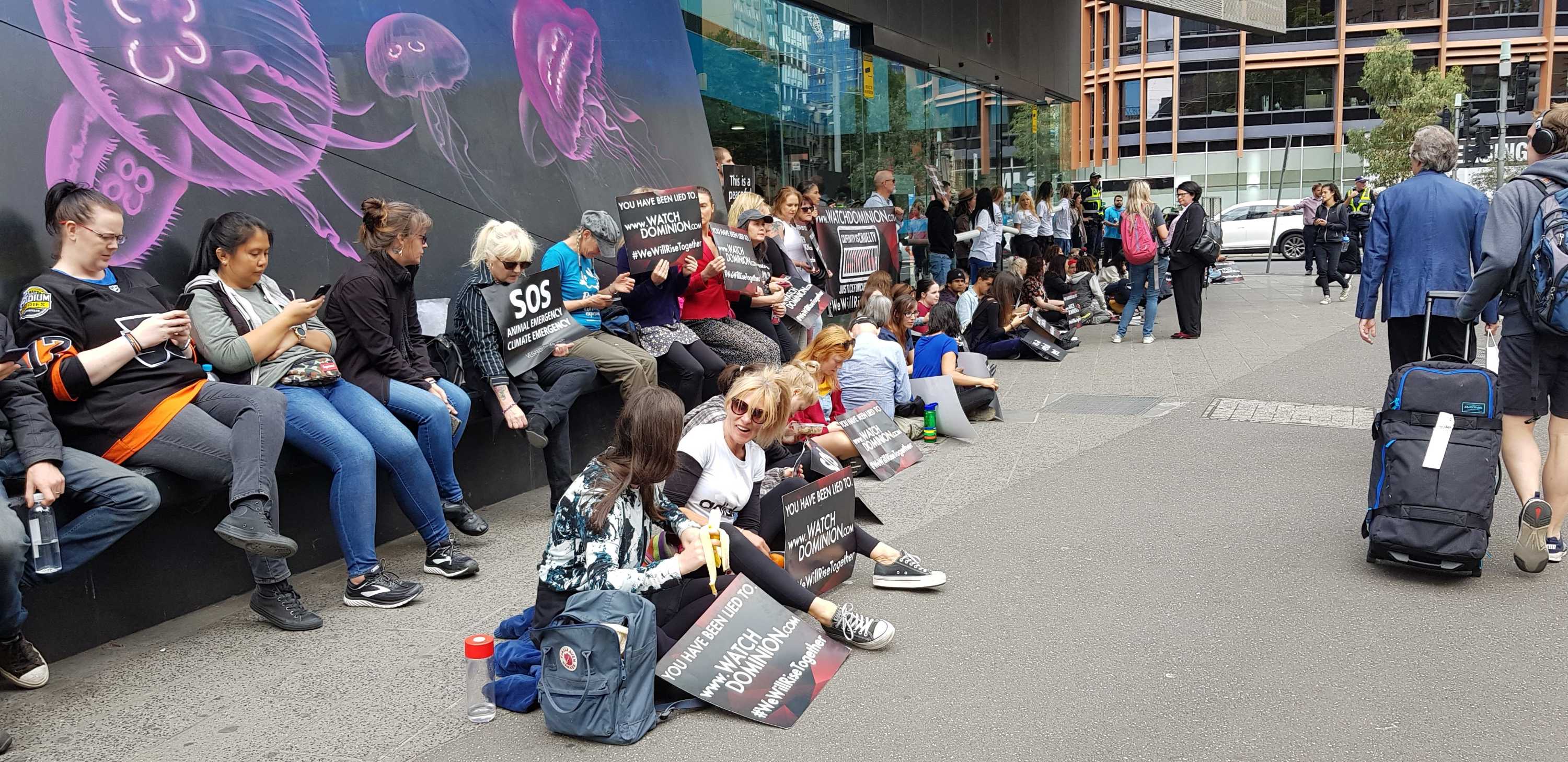 Animal protests spark more talk of legal action - ABC Radio National