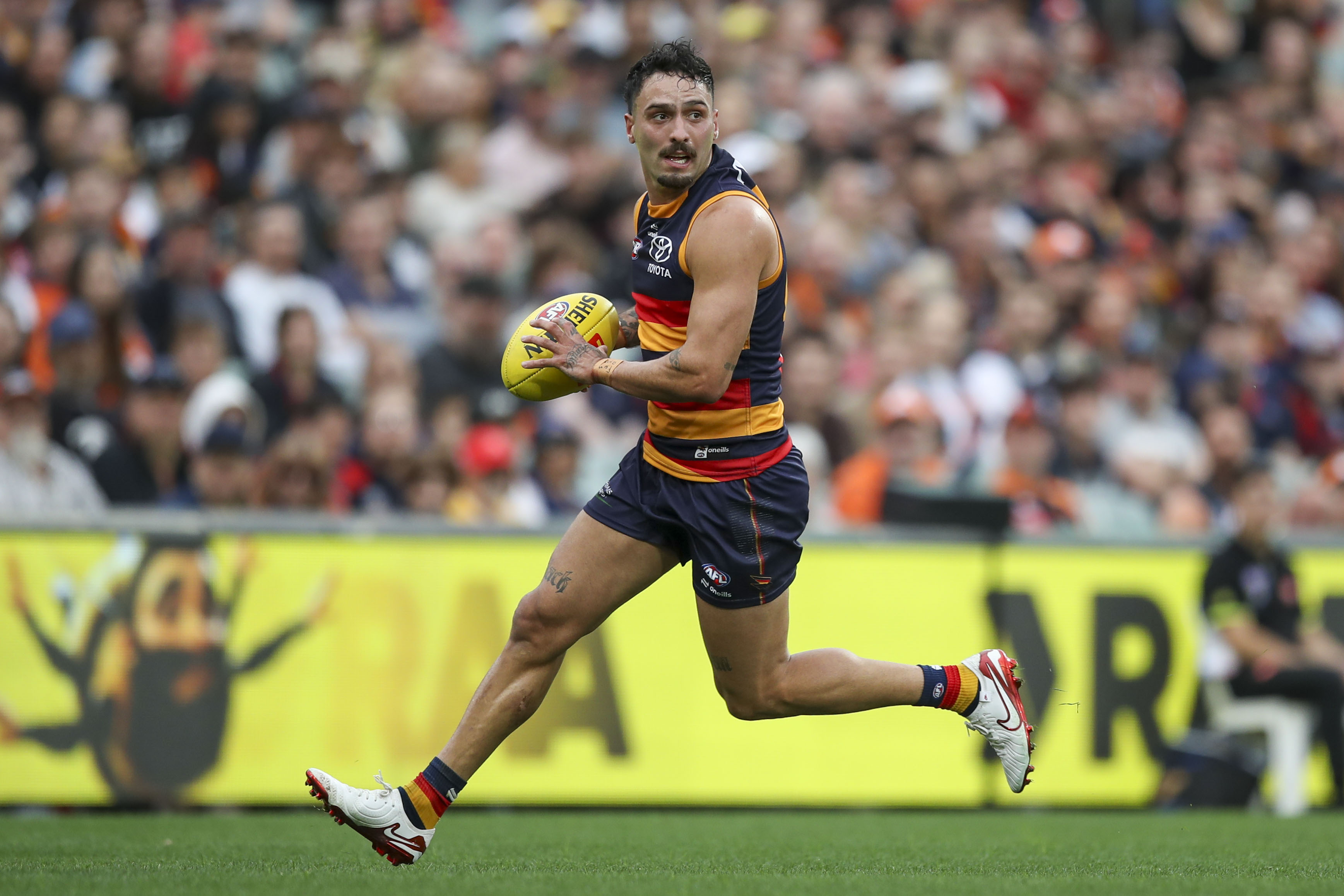 Adelaide Crows receive more time to respond to AFL over Izak Rankine's ...