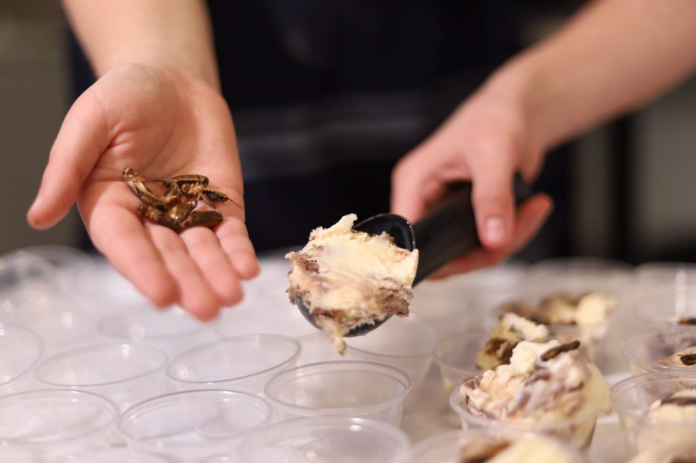 Canberra high school students cooking up a swarm - ABC listen