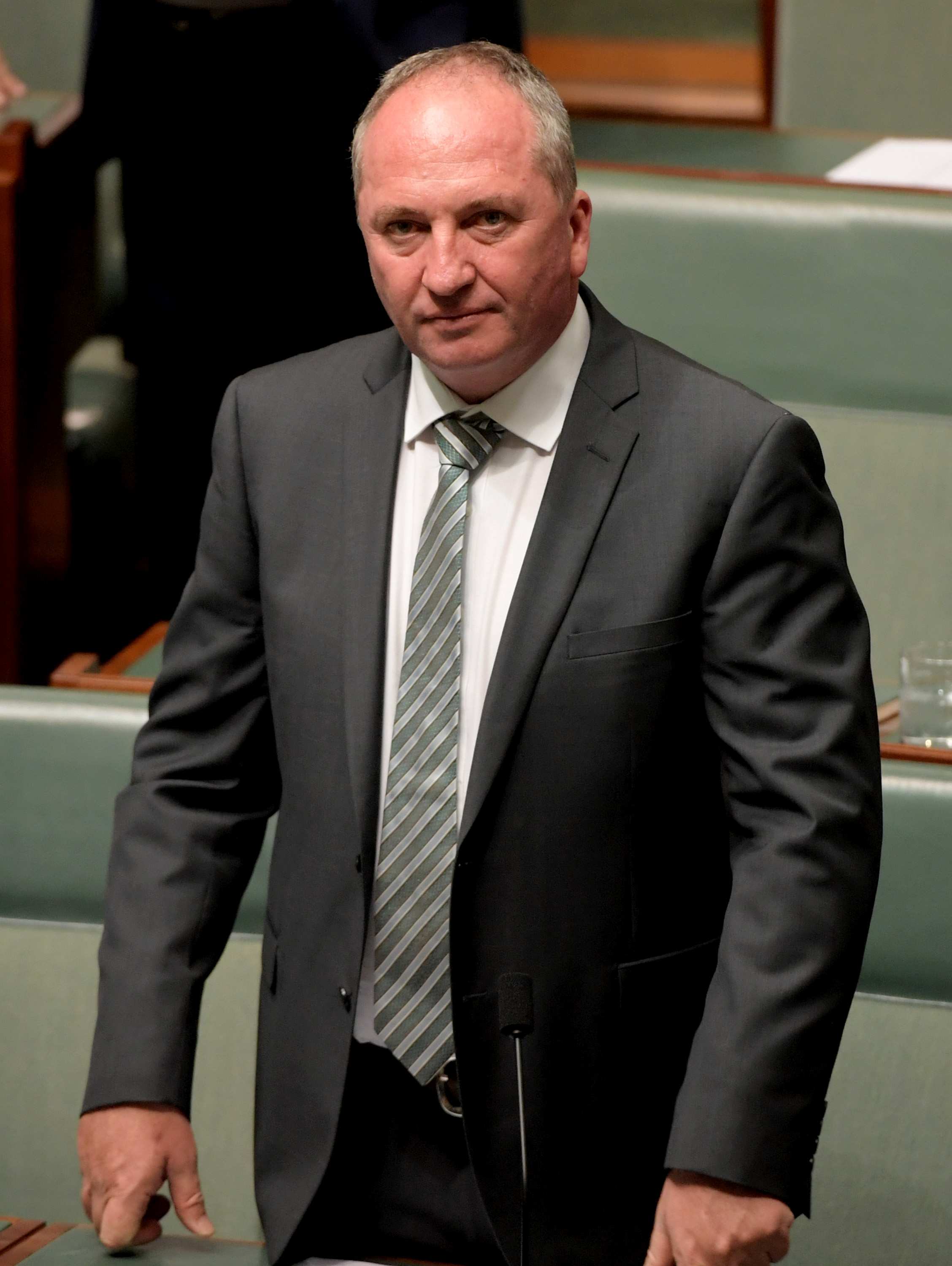 Barnaby Joyce declares 100 per cent support for the goal of net zero ...