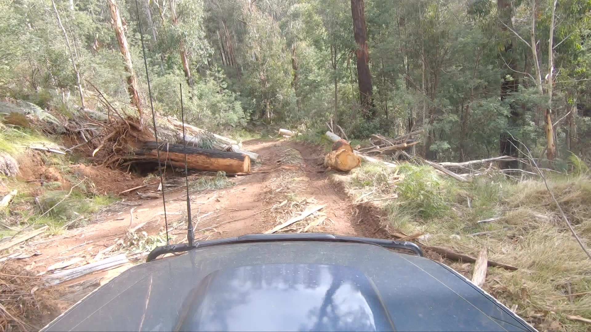 How Russell Hill, Carol Clay, Niels Becker and Conrad Whitlock went ...