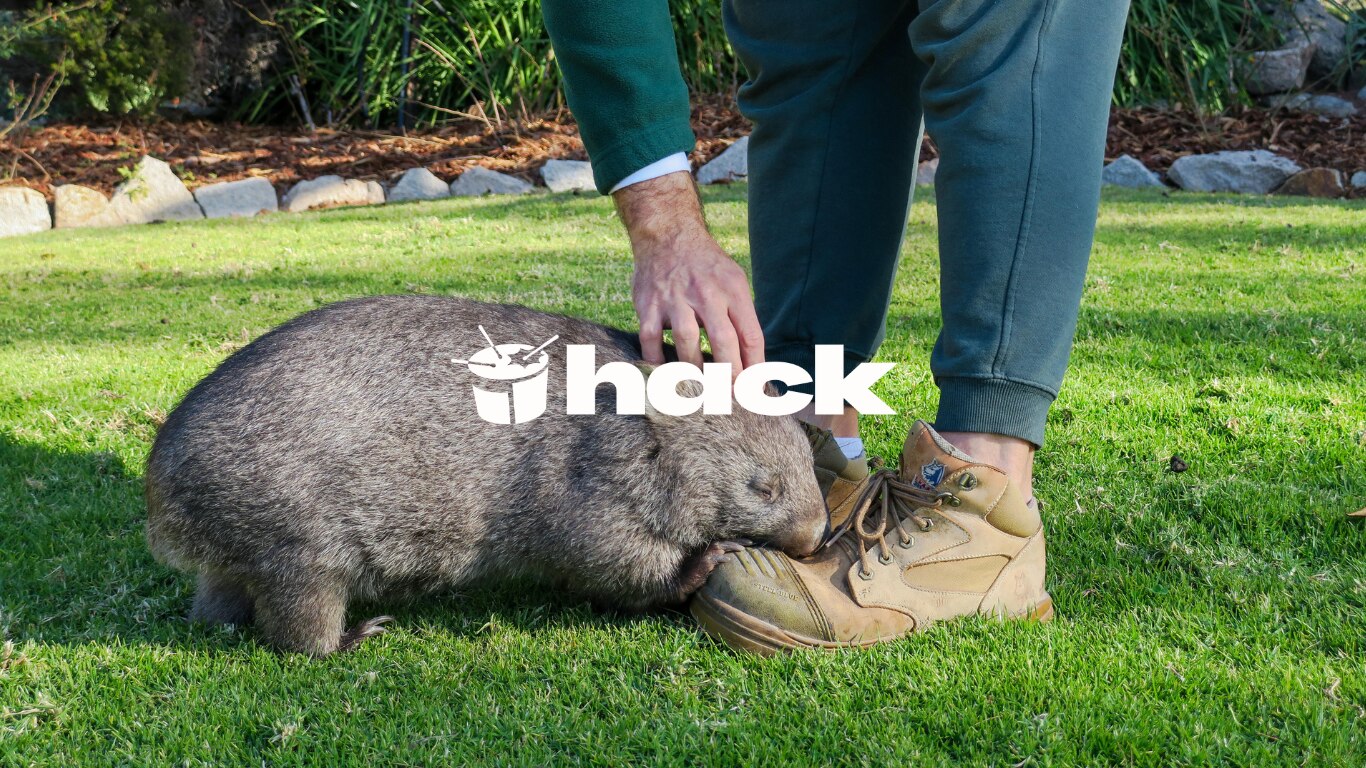 Rehab programs in prison: yes or no? - triple j