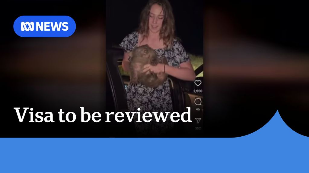 US influencer who snatached baby wombat faces visa review - ABC News