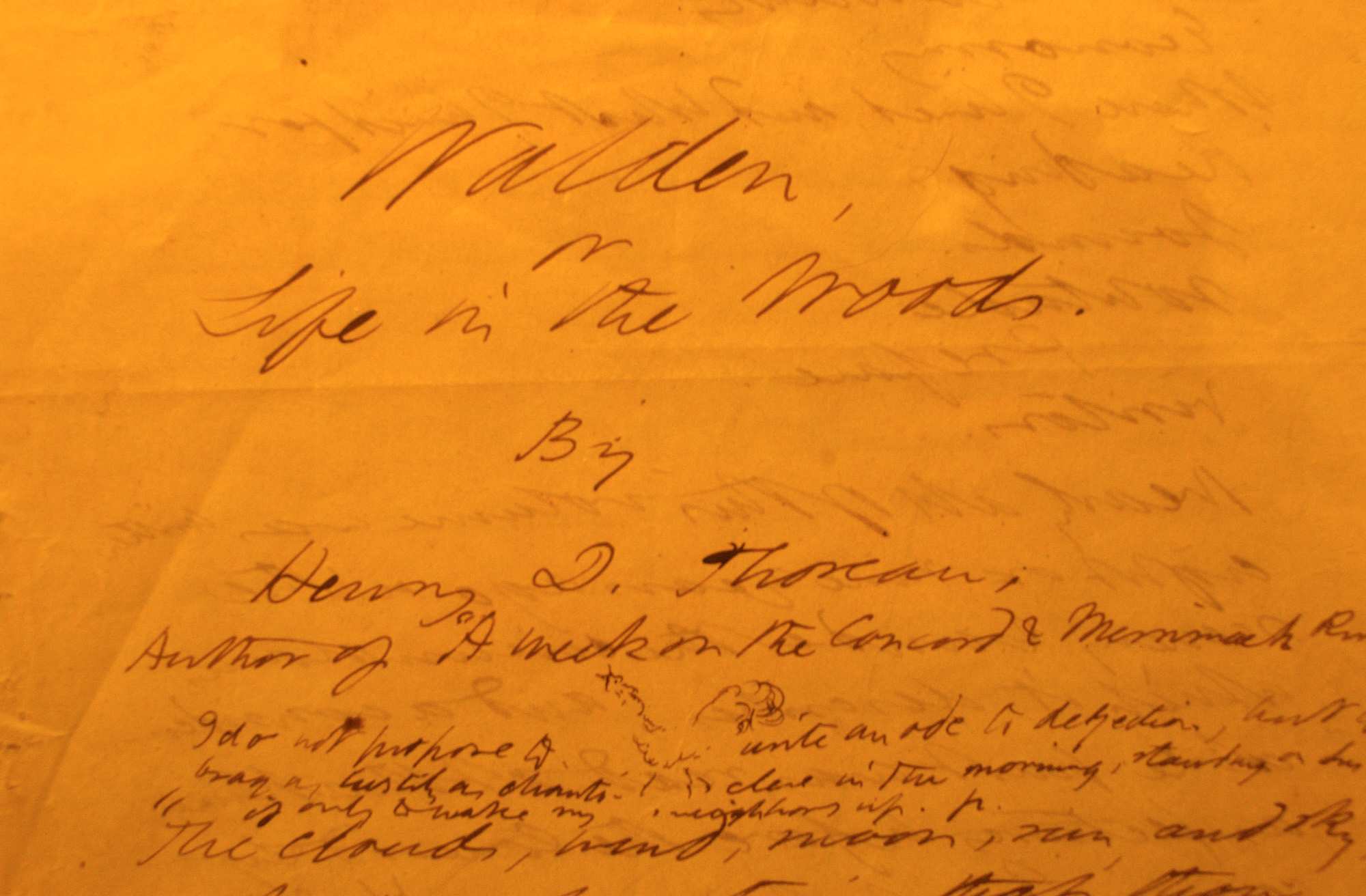 This profaned world: Re-reading Thoreau's Walden for the Anthropocene ...