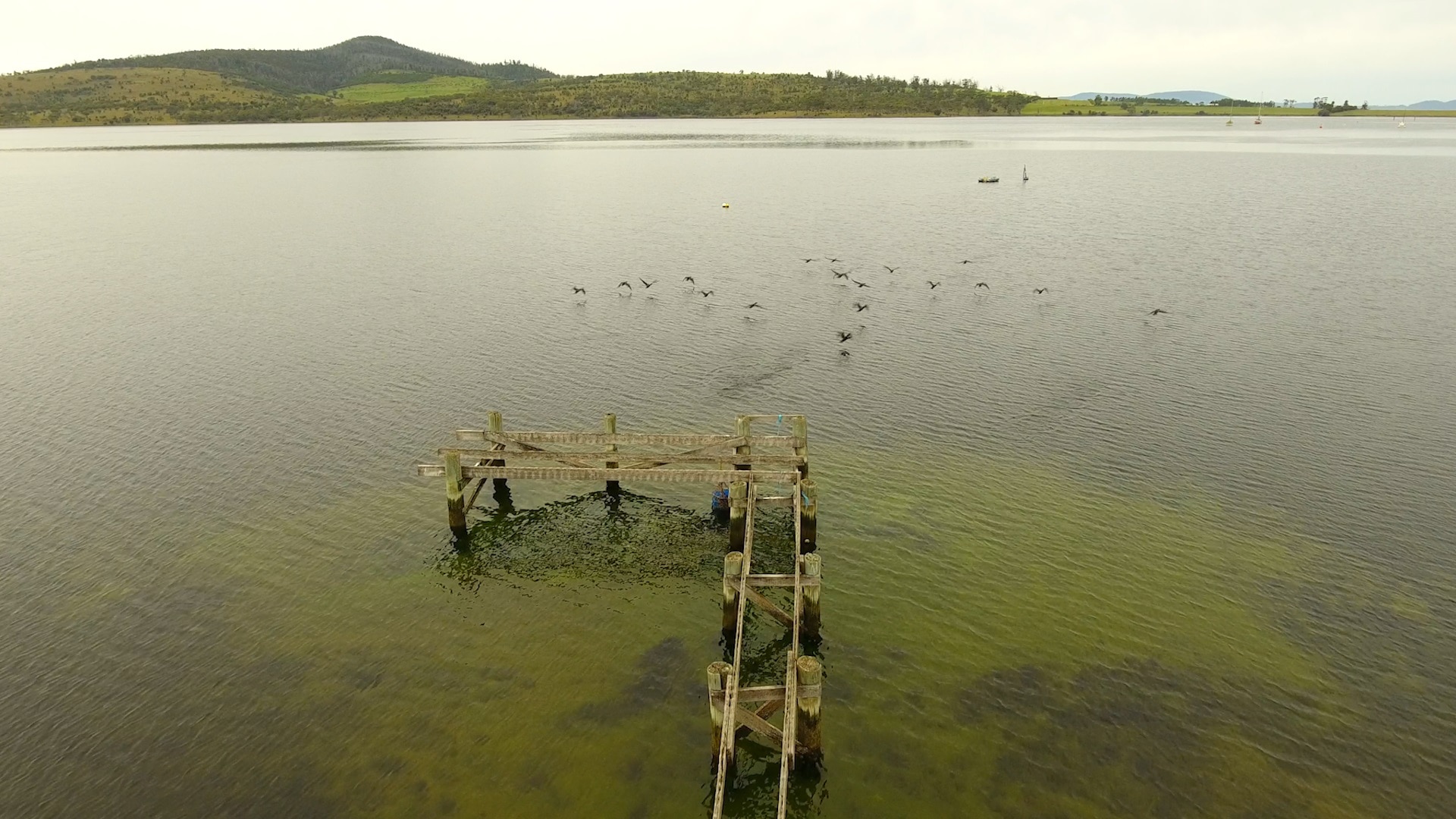Holmes family who sheltered from Dunalley fire under jetty rebuild and ...