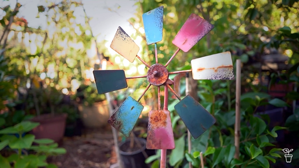 2026 | SERIES 37 | Episode 12 - Gardening Australia