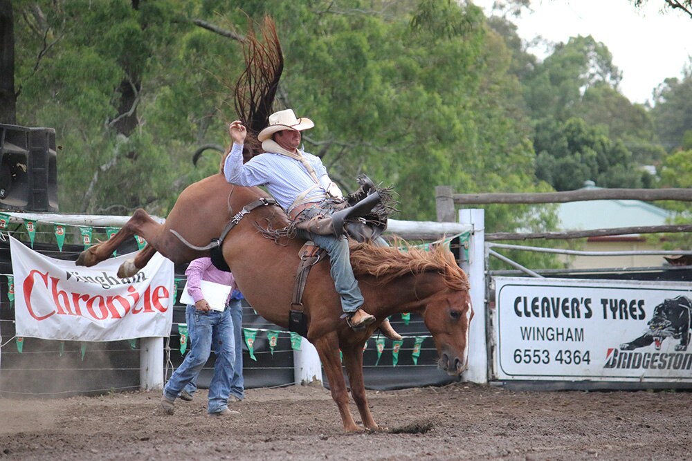 Record crowd at Wingham Summertime Rodeo in New South Wales - ABC News