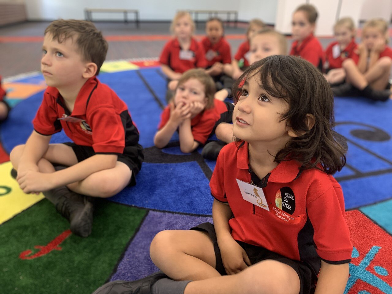 Richard Gill School adds music to STEM to create a winning formula for ...