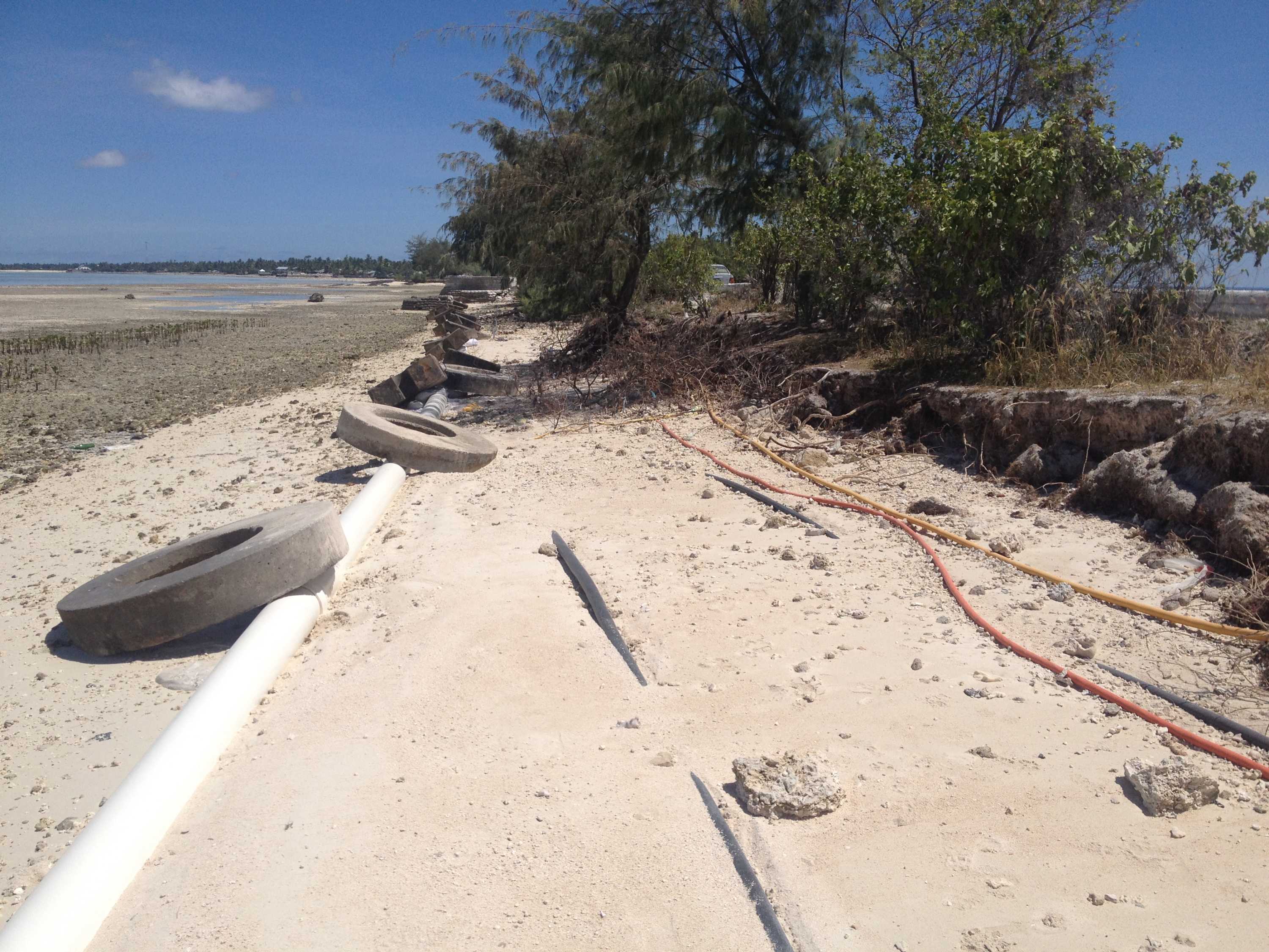 Saving the Ocean, part 1 [re-issue] - ABC listen