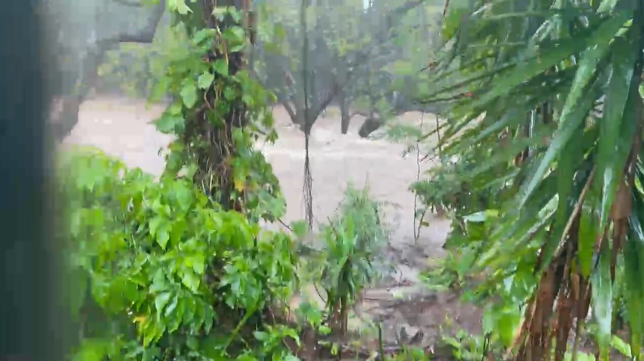 Barron River flowing - ABC News