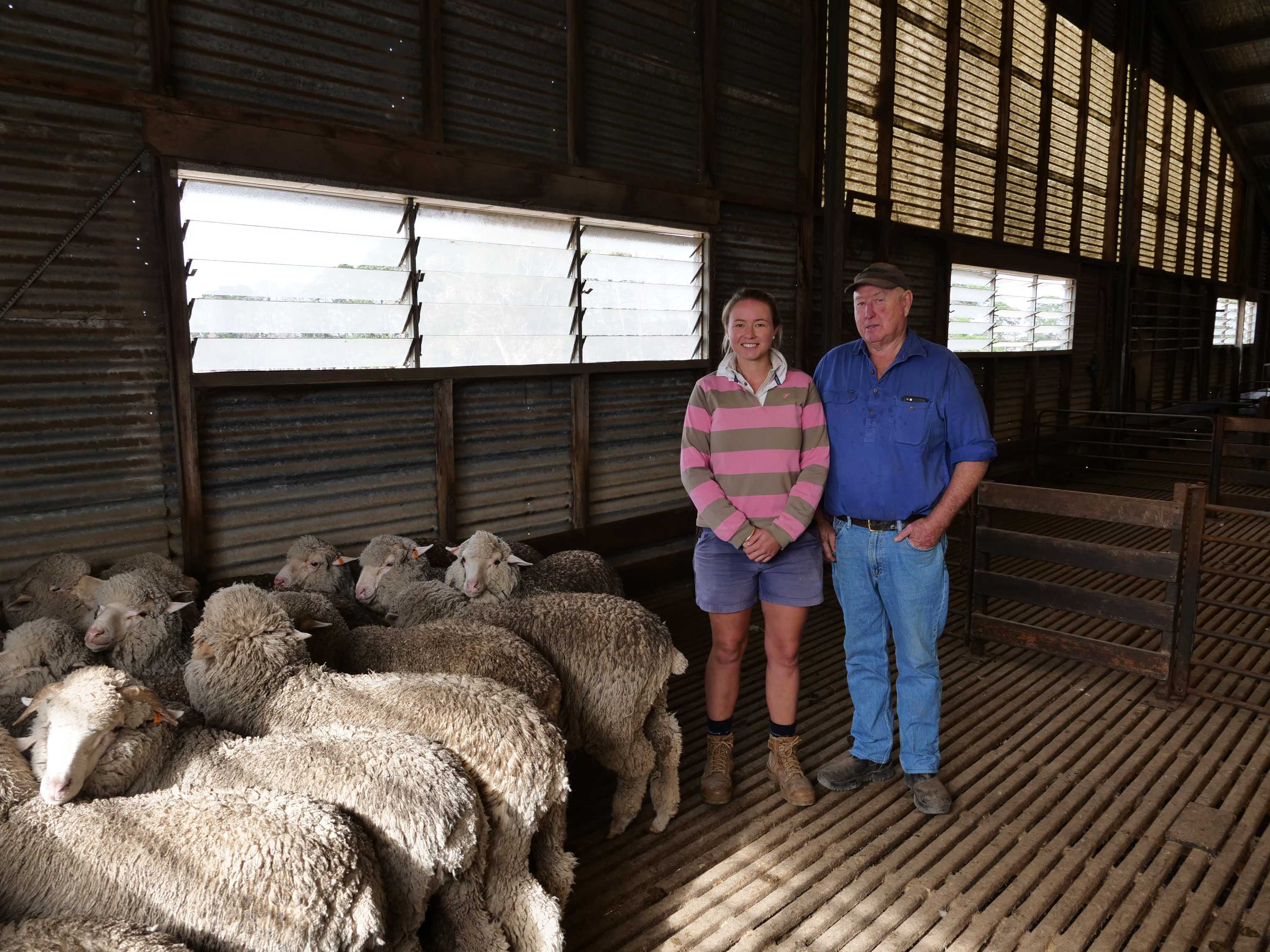 Is liquid nitrogen the answer to consumer and animal-welfare objections ...