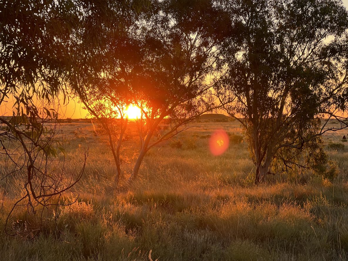 How Balgo tackled youth crime with unique holiday program designed to ...