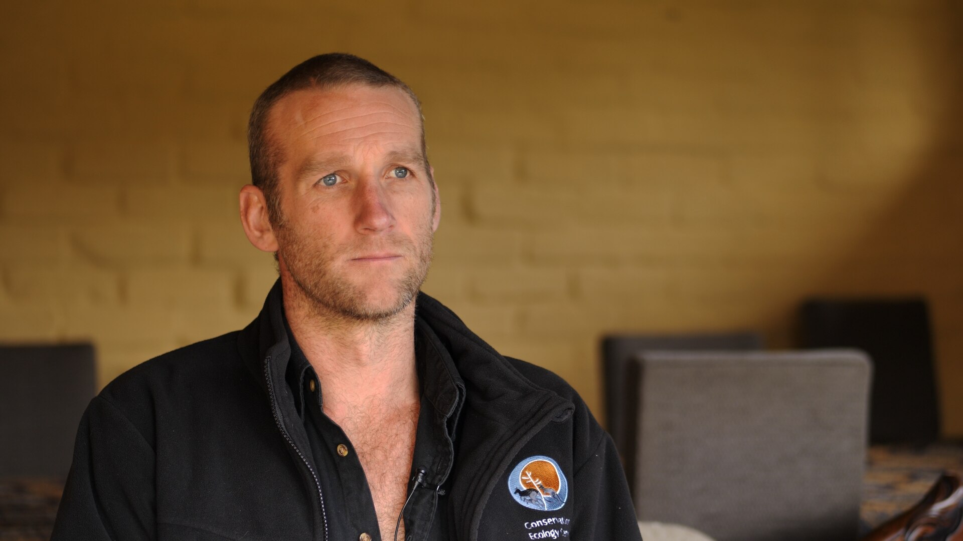 Feral deer, pigs populate Victoria's Otways with eradication a long, laborious journey - ABC News